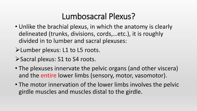 Limb Weakness II Osama S. M. Amin | PPTX
