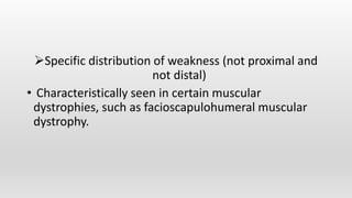 Limb Weakness II Osama S. M. Amin | PPTX