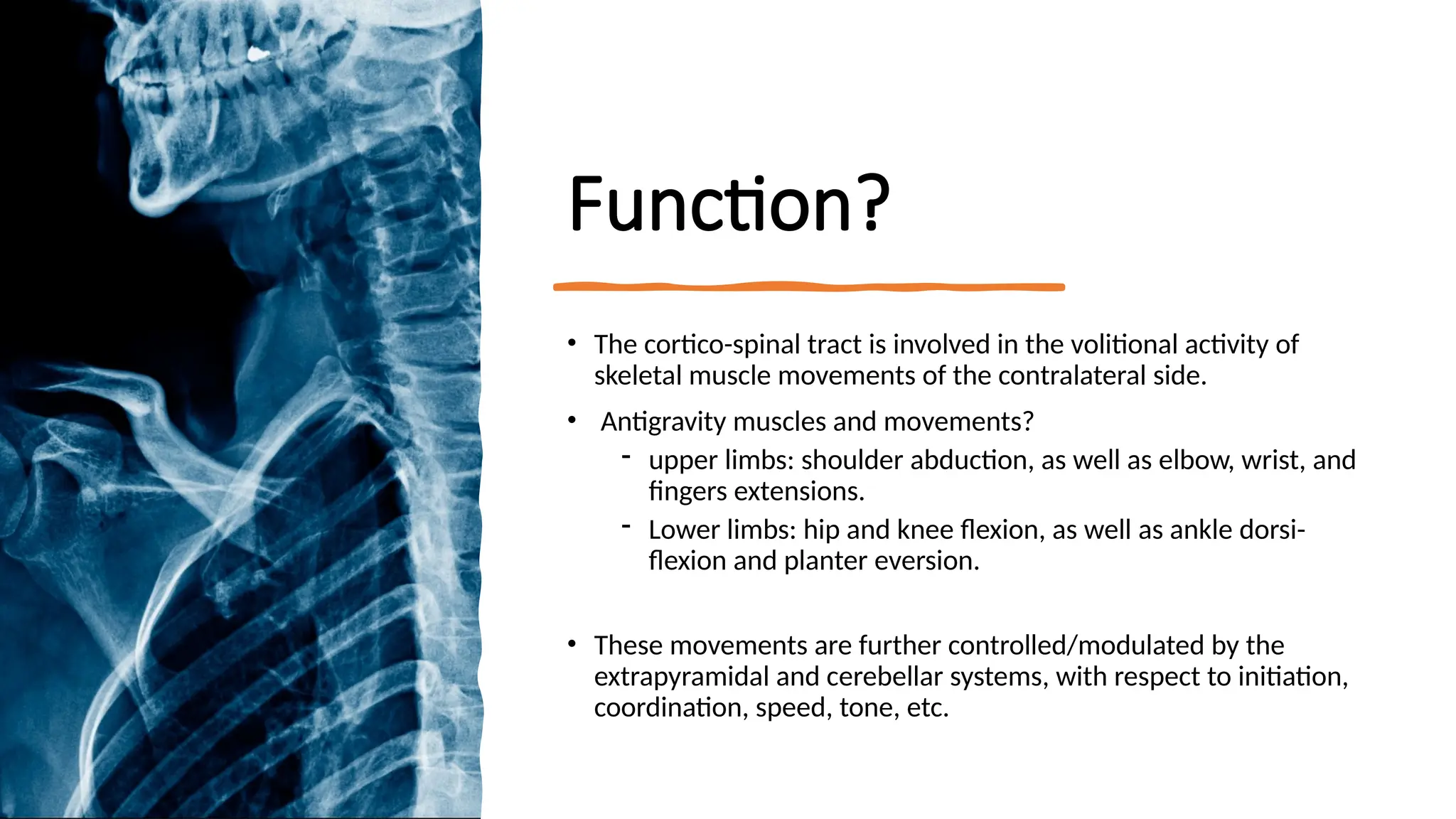 Limb Weakness (Part 1), with some clinical examples and imaging | PPTX