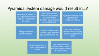 Limb Weakness (Part 1), with some clinical examples and imaging | PPTX ...