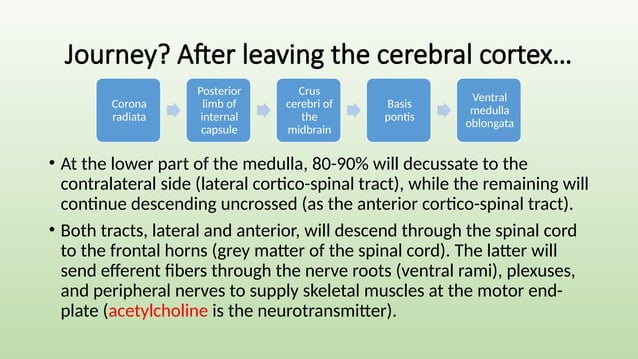 Limb Weakness (Part 1), with some clinical examples and imaging | PPT