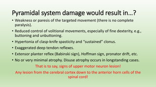 Limb Weakness Part I | PPTX