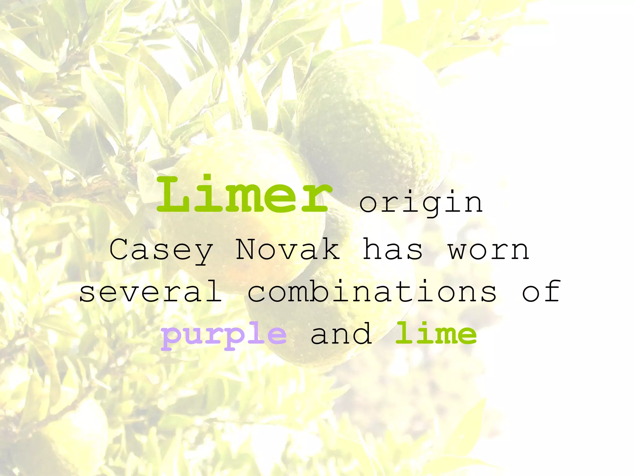 Limer Project for Sociology | PPT