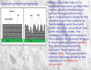 Limestones, for geography or integrated science | PDF