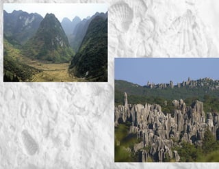 Limestones, for geography or integrated science | PDF