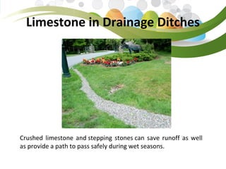 What is a Limestone - Formation & Benefits | PPT