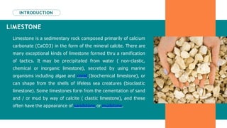 LIMESTONE_groupleader#5MAGDUA.pptx
