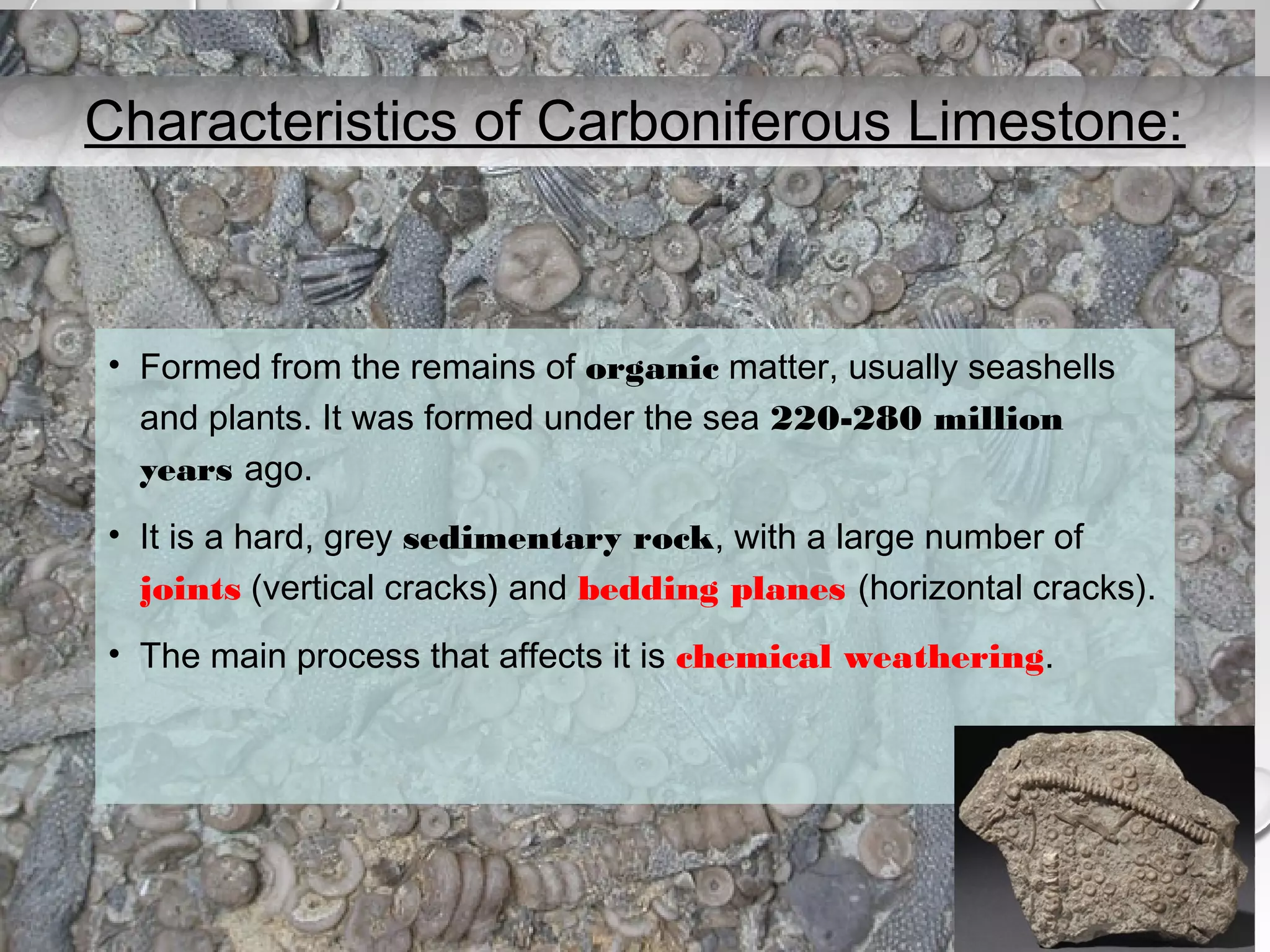 Limestone (part 1) | PPT