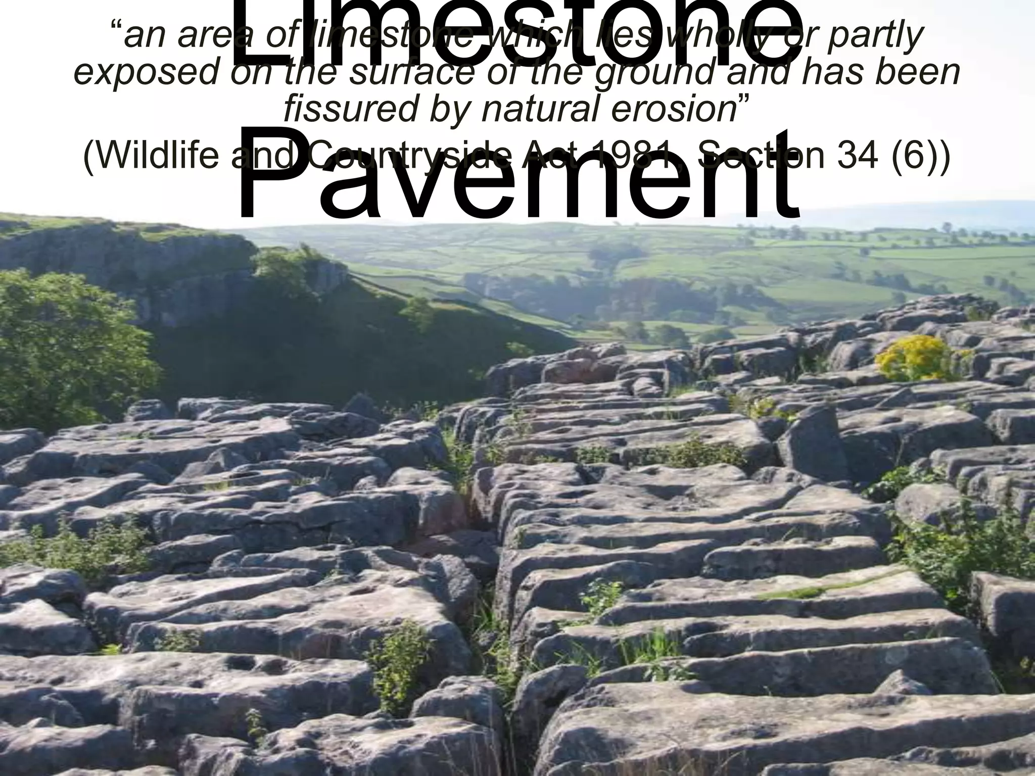 Limestone Pavement Ecology | PPTX