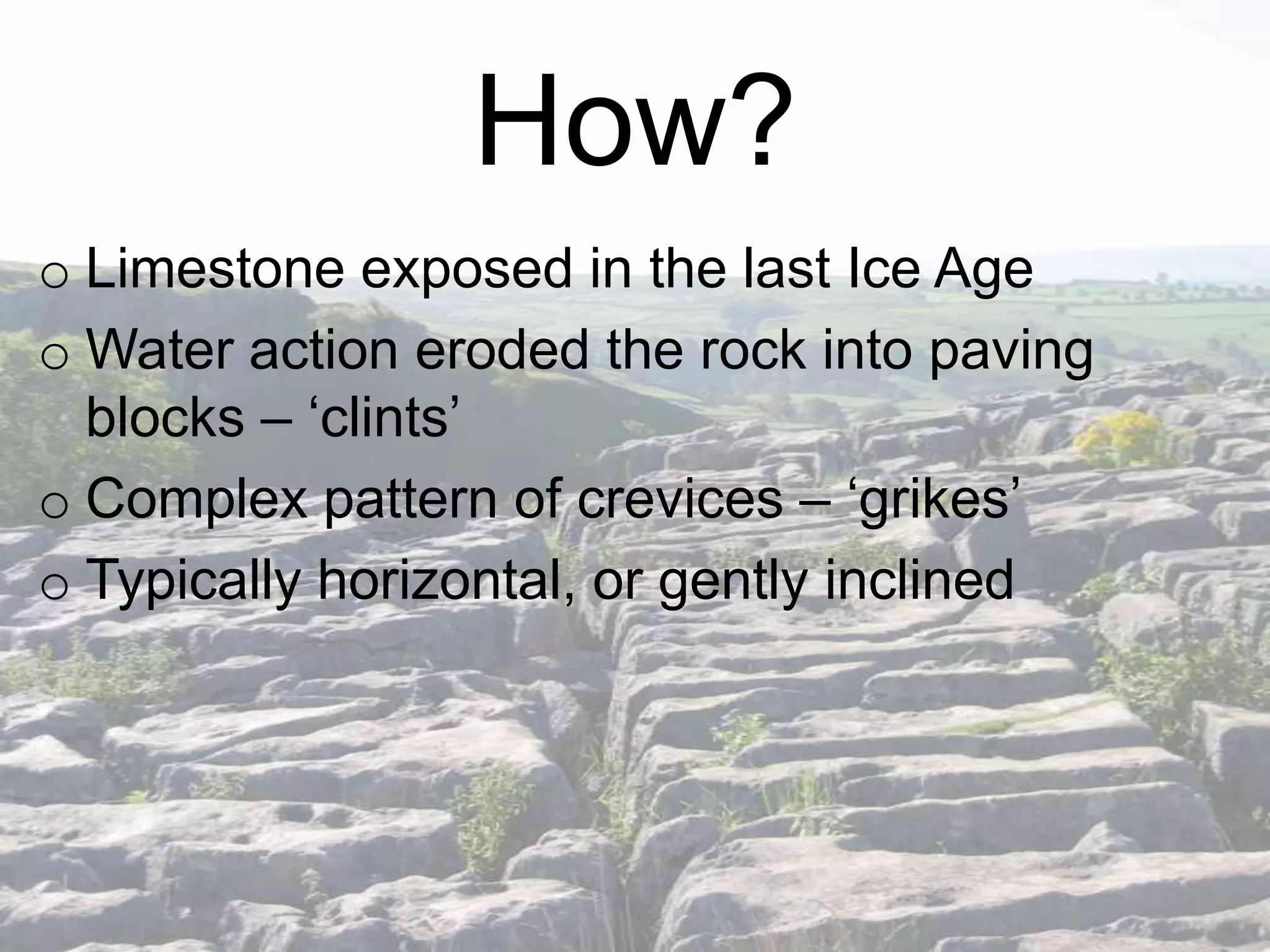 Limestone Pavement Ecology | PPTX