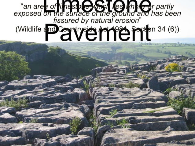 Limestone Pavement Ecology | PPT