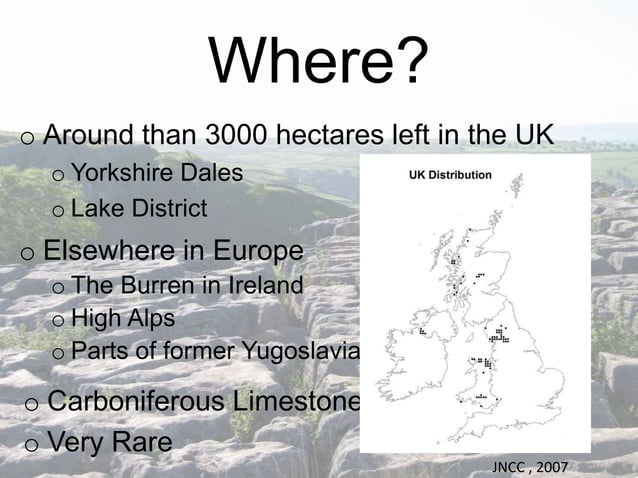 Limestone Pavement Ecology | PPT