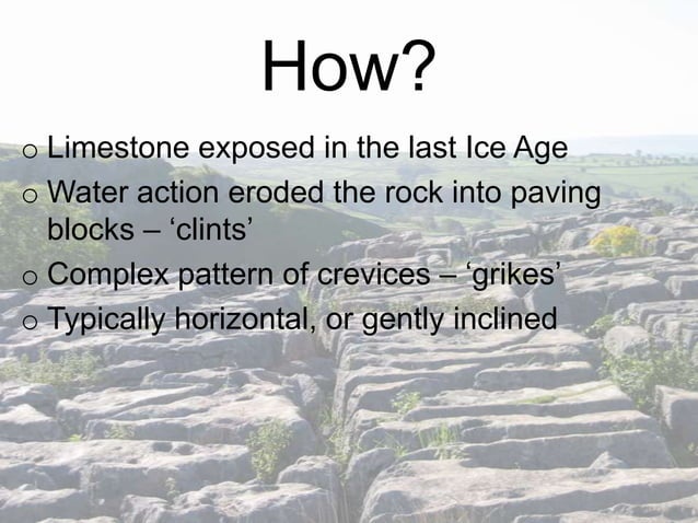 Limestone Pavement Ecology | PPT