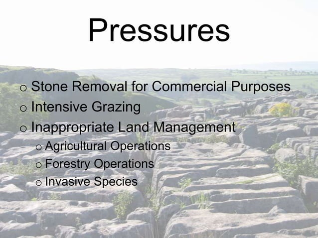 Limestone Pavement Ecology | PPT