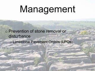 Limestone Pavement Ecology | PPT