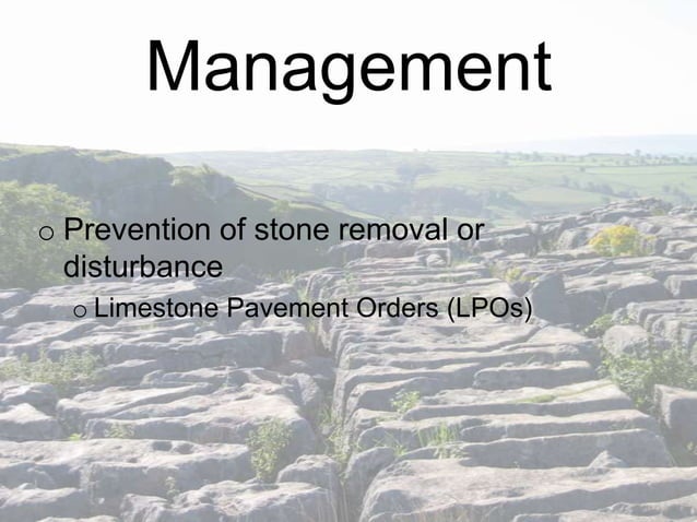 Limestone Pavement Ecology | PPT