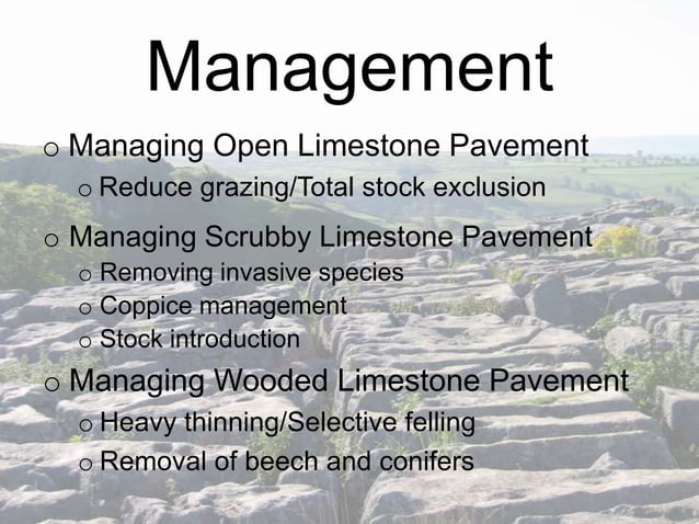 Limestone Pavement Ecology | PPT