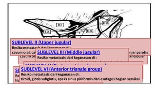 Limfadenopati | PPTX