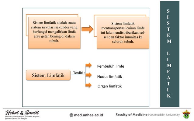 Limfangitis pada anak.pptx