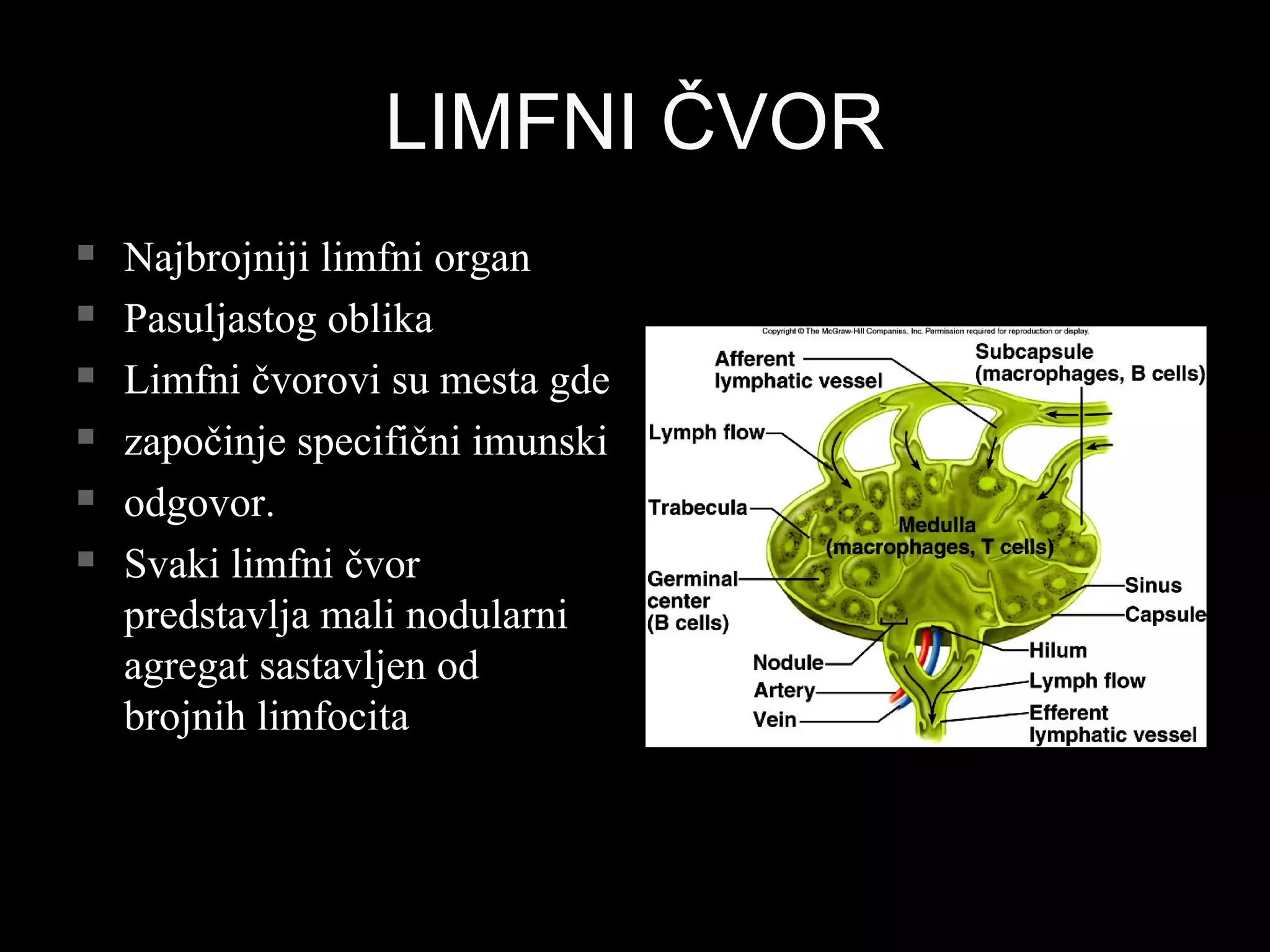 Limfni sistem | PPT
