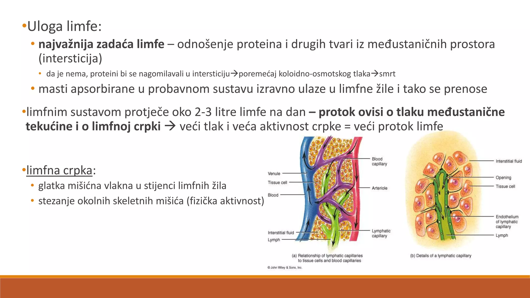 Limfni sustav | PPSX