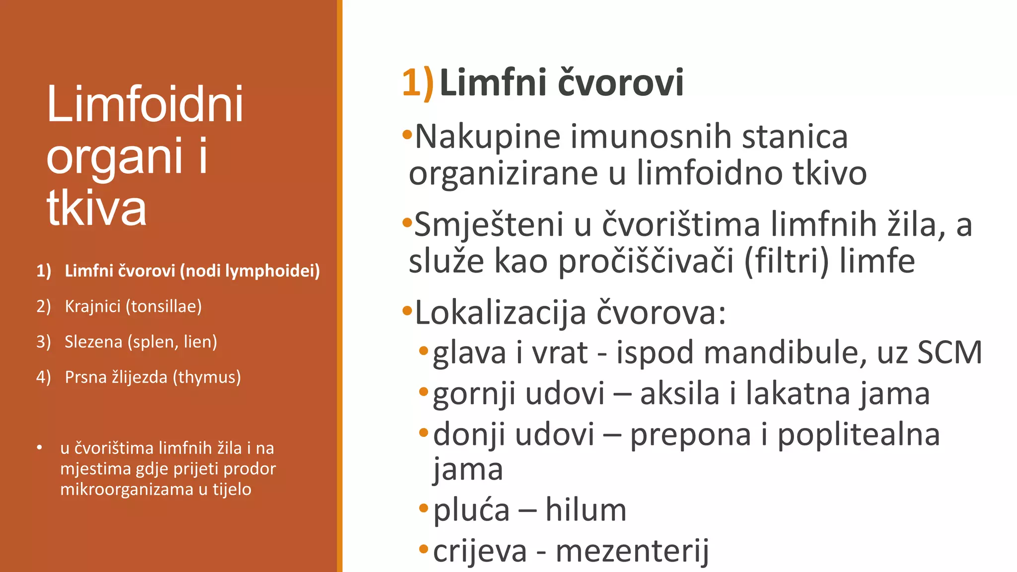 Limfni sustav | PPSX