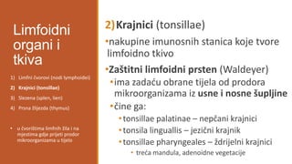 Limfni sustav | PPSX