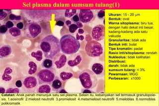 Limfopoiesis.ppt