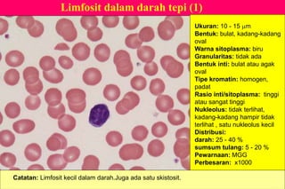 Limfopoiesis.ppt
