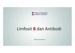 Limfosit T adalah sel darah putih yang berperan penting dalam sistem ...