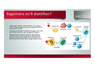 Limfosit T adalah sel darah putih yang berperan penting dalam sistem ...