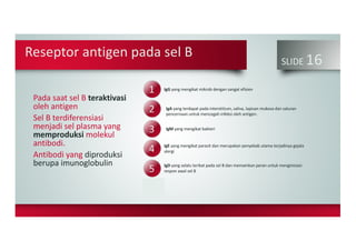 Limfosit T adalah sel darah putih yang berperan penting dalam sistem ...