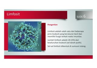 Limfosit T adalah sel darah putih yang berperan penting dalam sistem ...