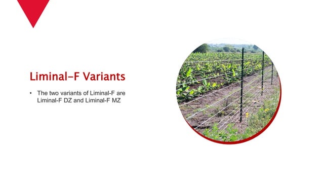 Liminal-F | Fibre Optic Based Perimeter Intrusion Detection System (FO-PIDS) | PPTX | Home ...