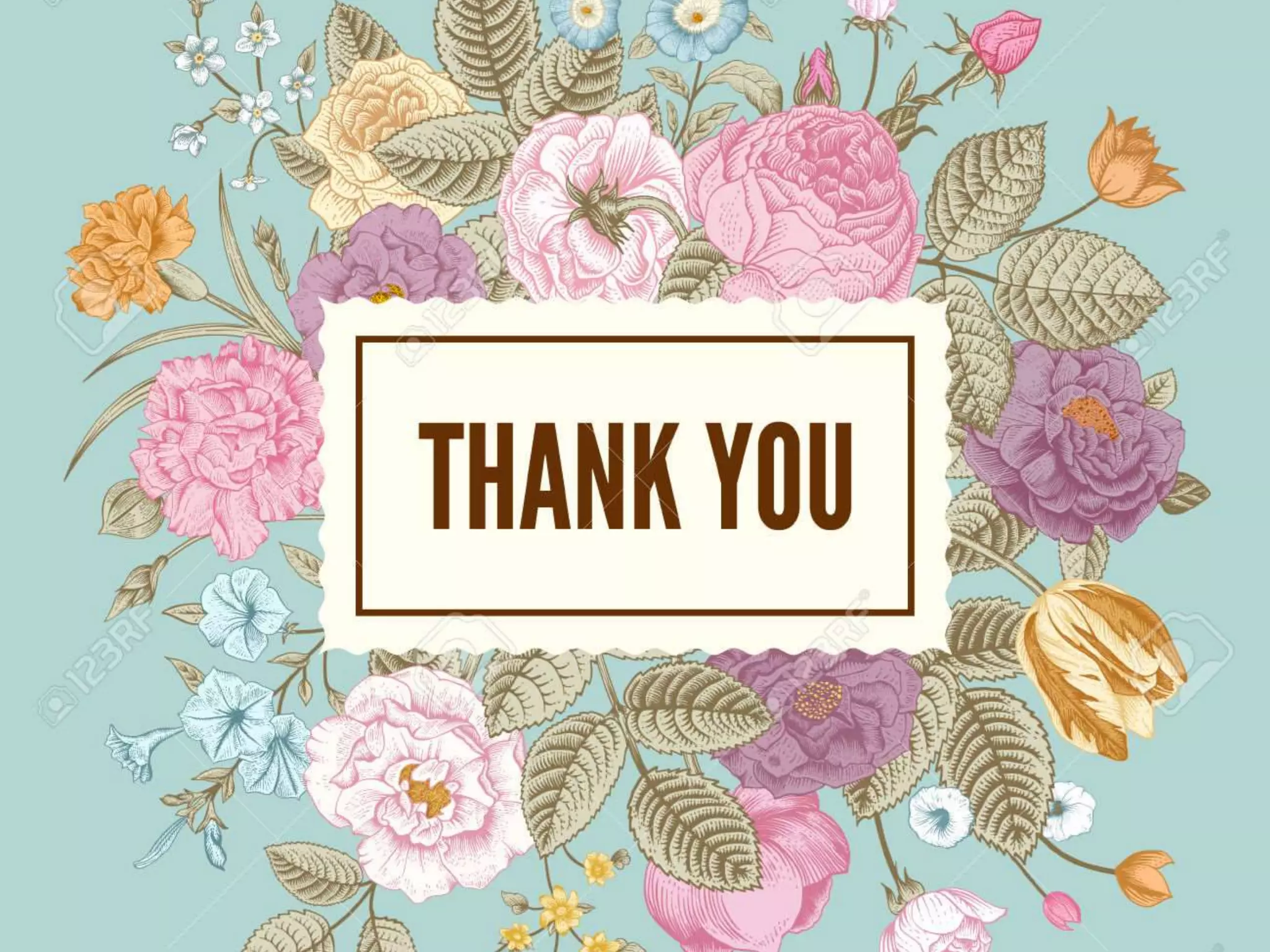 Limited Effect Theory | PPTX