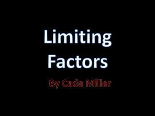 Limiting factors | PPTX