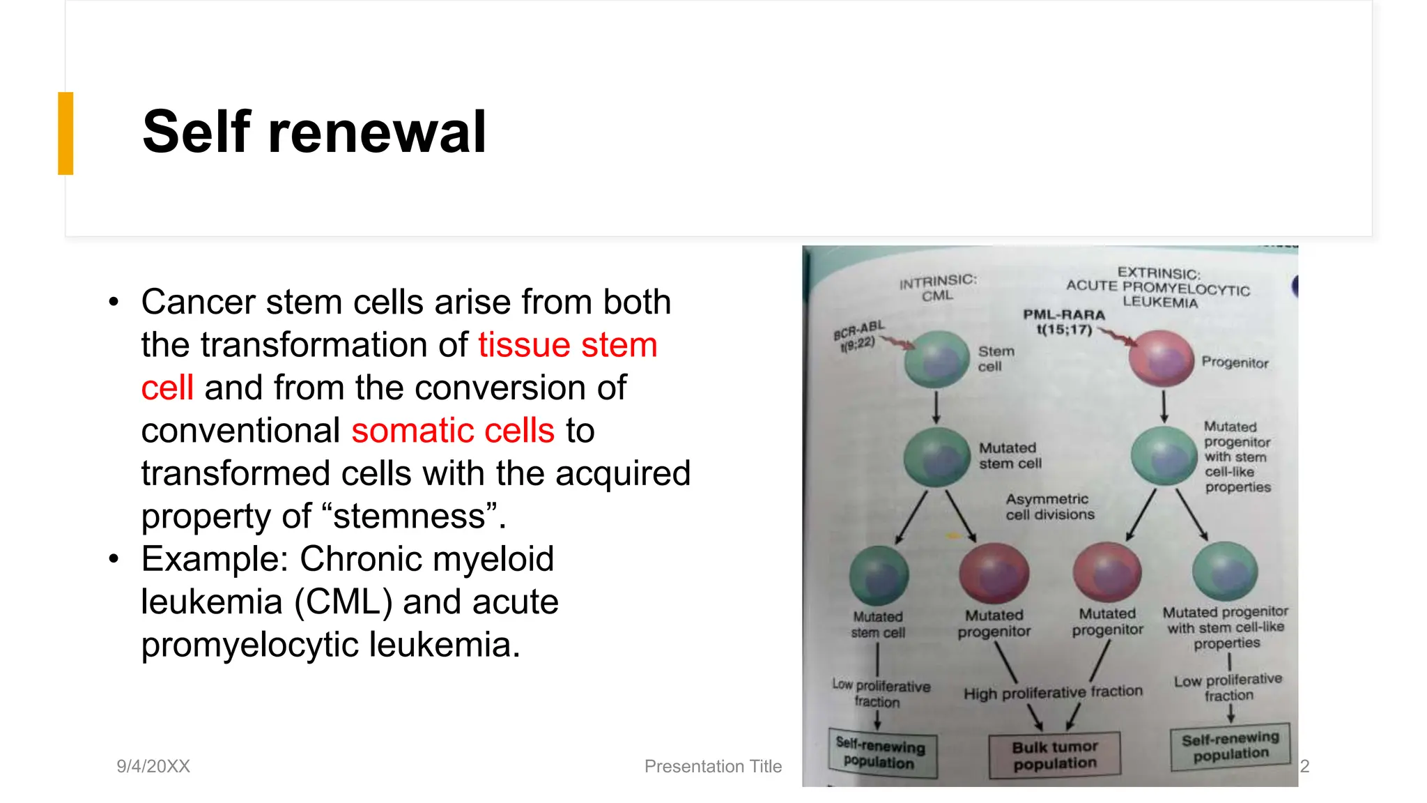 Limitless replicative potential powerpoint | PPTX