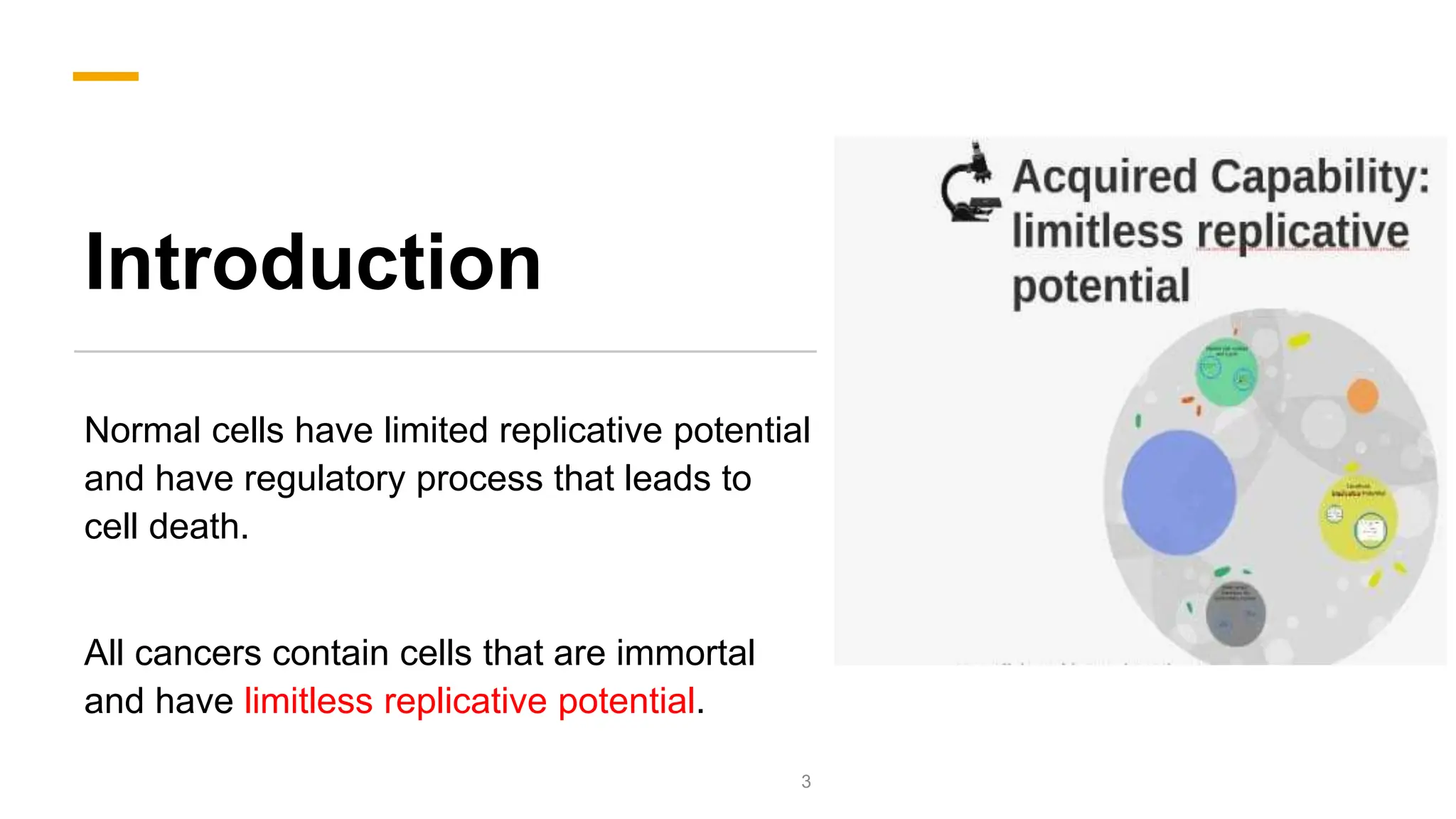 Limitless replicative potential powerpoint | PPTX