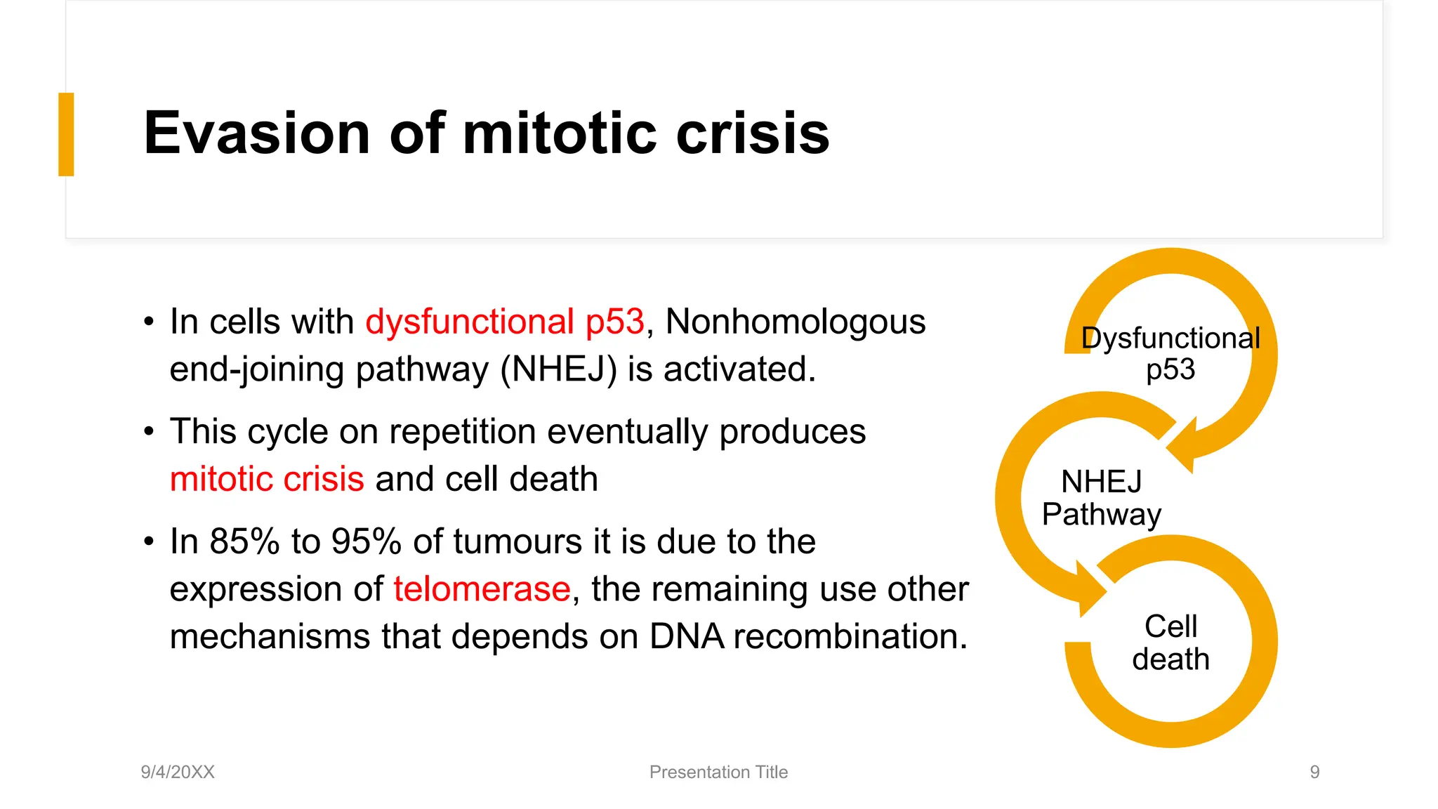 Limitless replicative potential powerpoint | PPTX