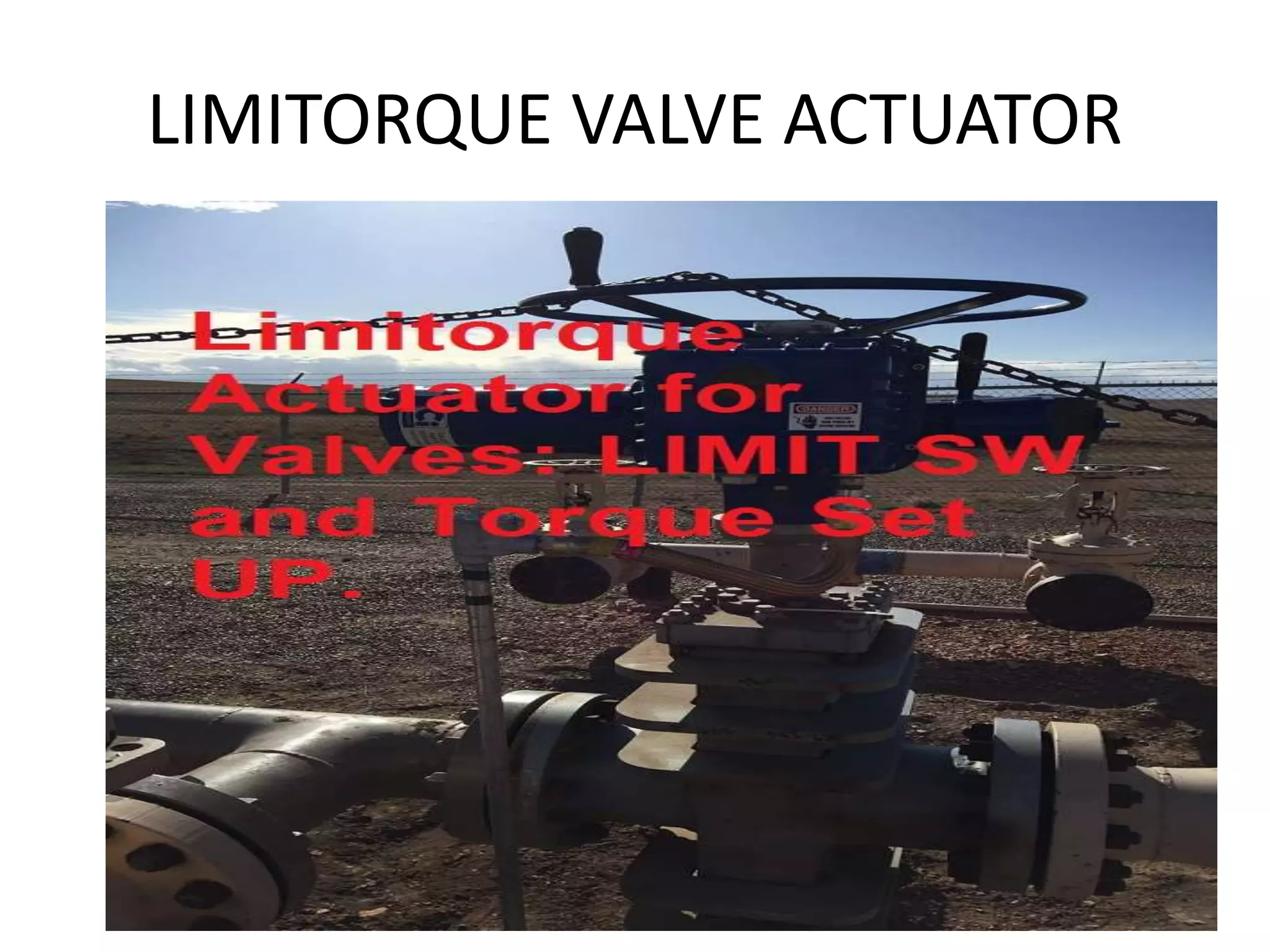 Limitorque Actuator Set UP.pptx