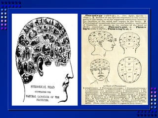 Limits of science | PPT