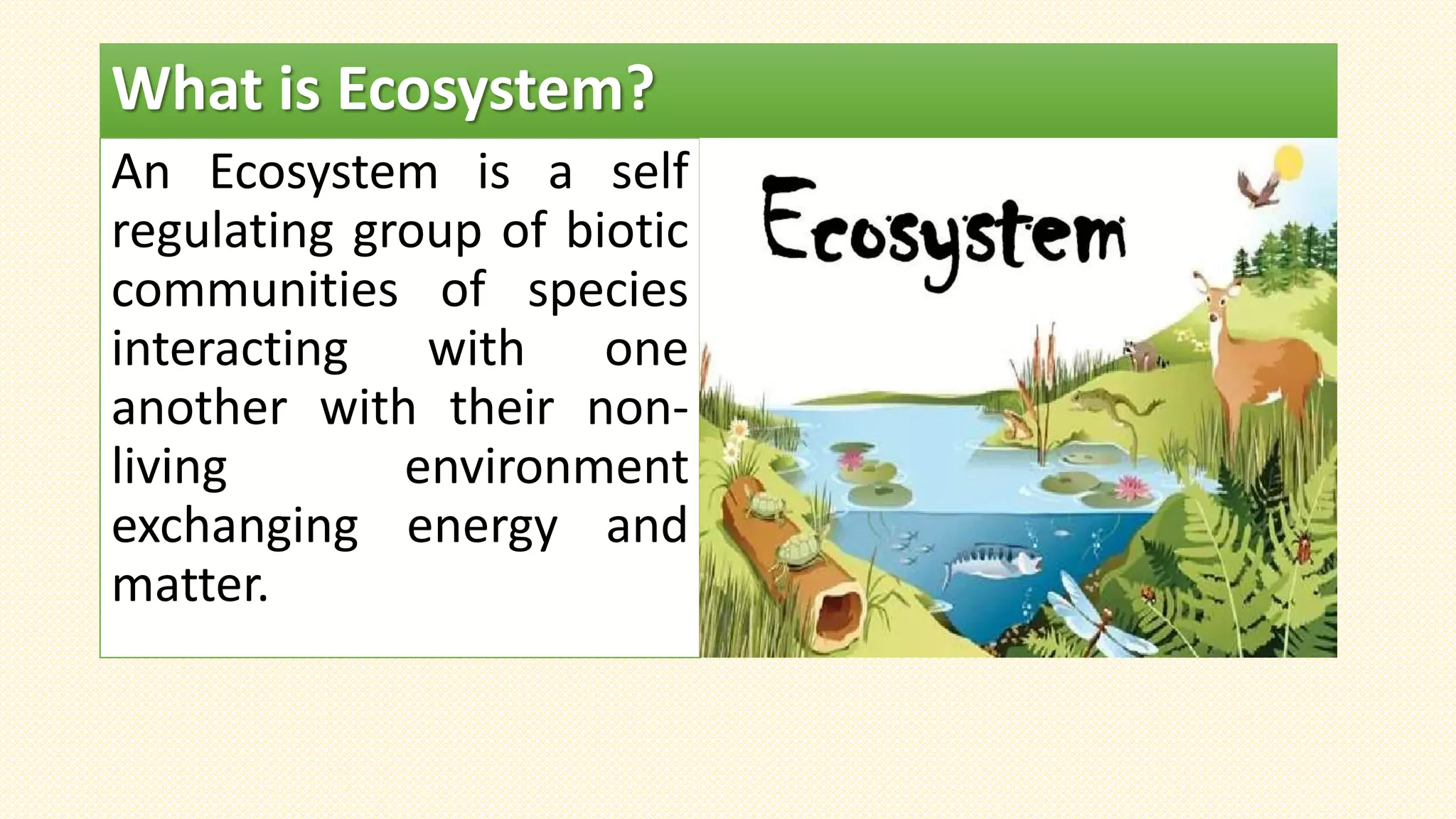 Limnology | PPTX