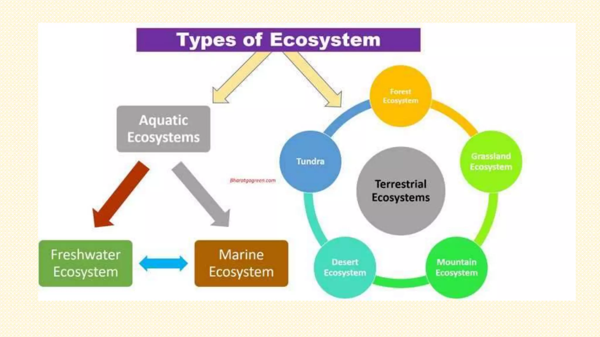 Limnology | PPTX