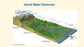 Limnology | PPTX