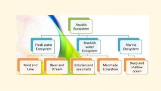 Limnology | PPTX