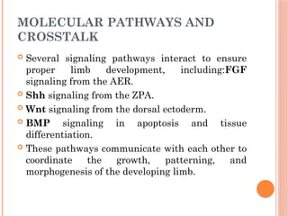 Limp development in vertebrate - Dr.M.Jothimuniyandi | PPTX ...