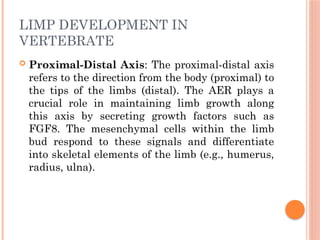 Limp development in vertebrate - Dr.M.Jothimuniyandi | PPTX ...