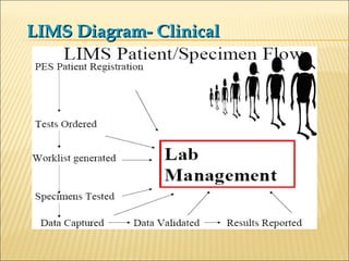 Laboratory Information Management System (LIMS) | PPT