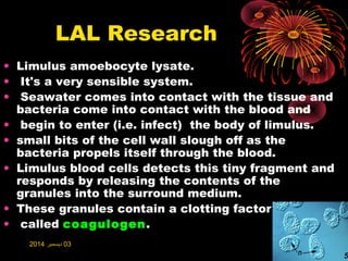 Limulus | PPT
