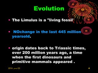 Limulus | PPT